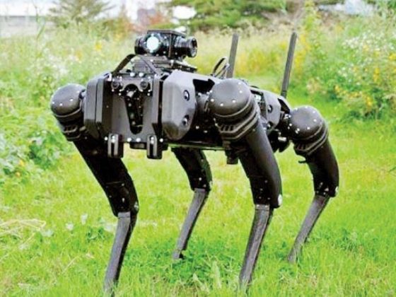 US Releasing Robot Dogs at Border - Puerto Vallarta Reporter