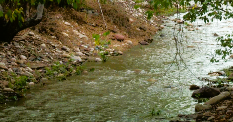Cuale River Comes Alive with First Rains - Puerto Vallarta Reporter
